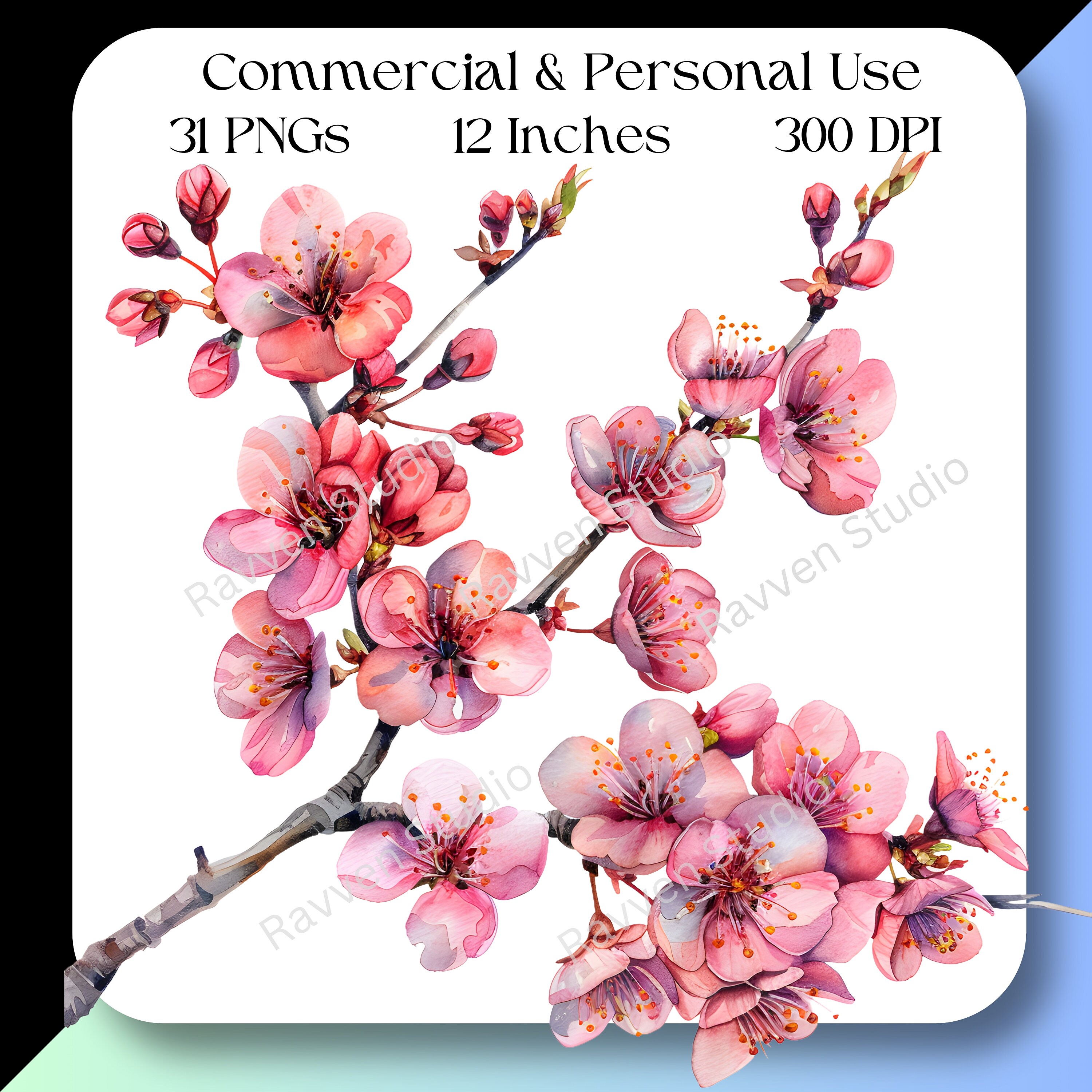 Cherry Blossoms Clipart, Sakura Png, Floral Clip Art, Tree, Digital ...