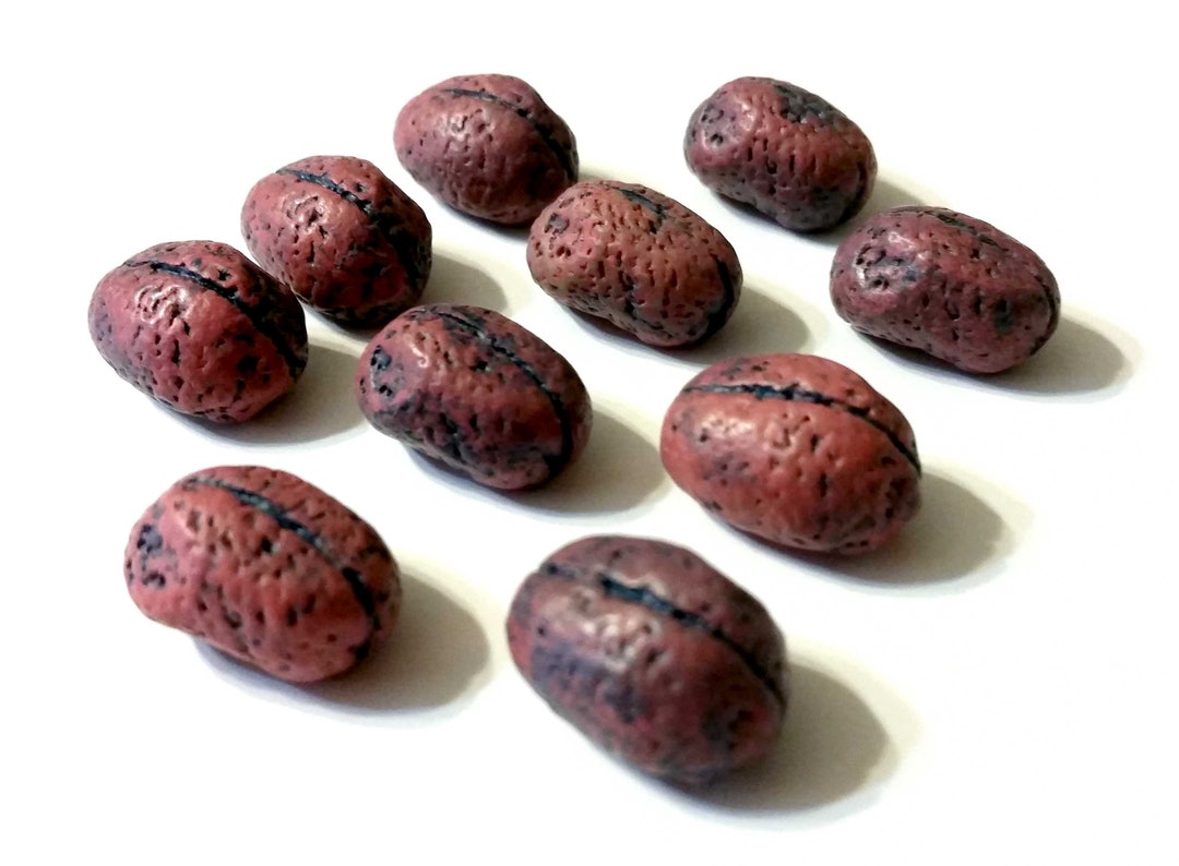 Realistic Brain Tokens (set of 10) - Etsy