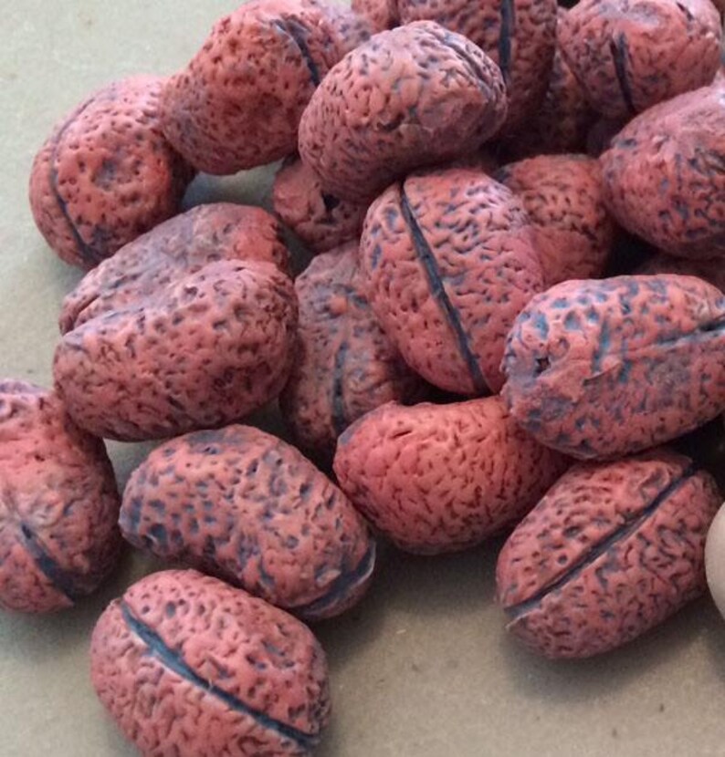 Realistic Brain Tokens set of 10 - Etsy