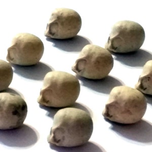 Realistic Skull Tokens (set of 10) - Etsy