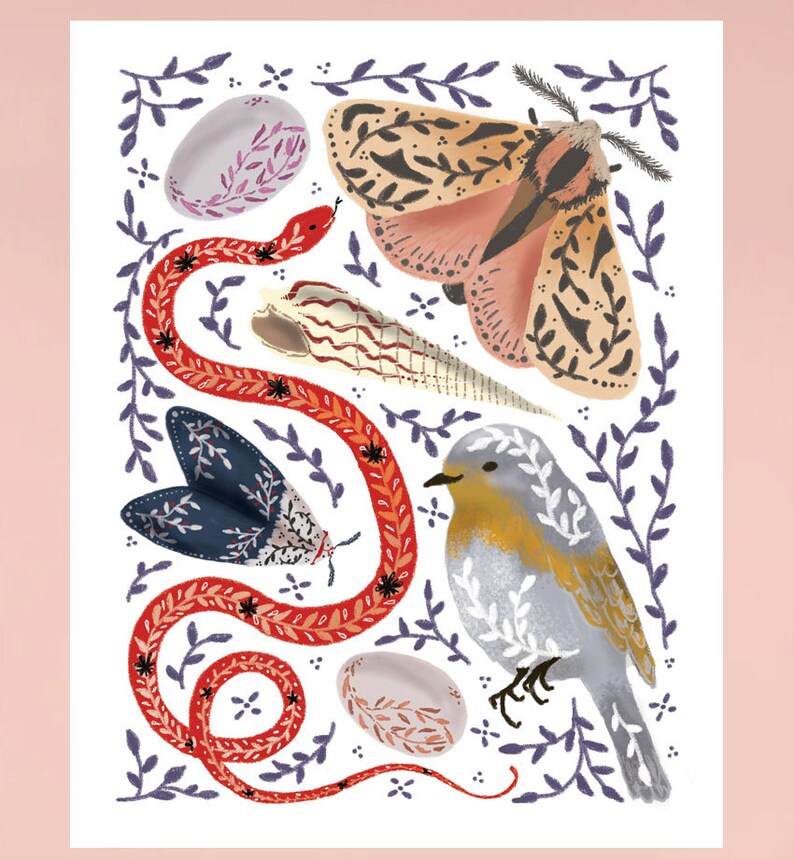 Flora and Fauna illustration art print set | Etsy