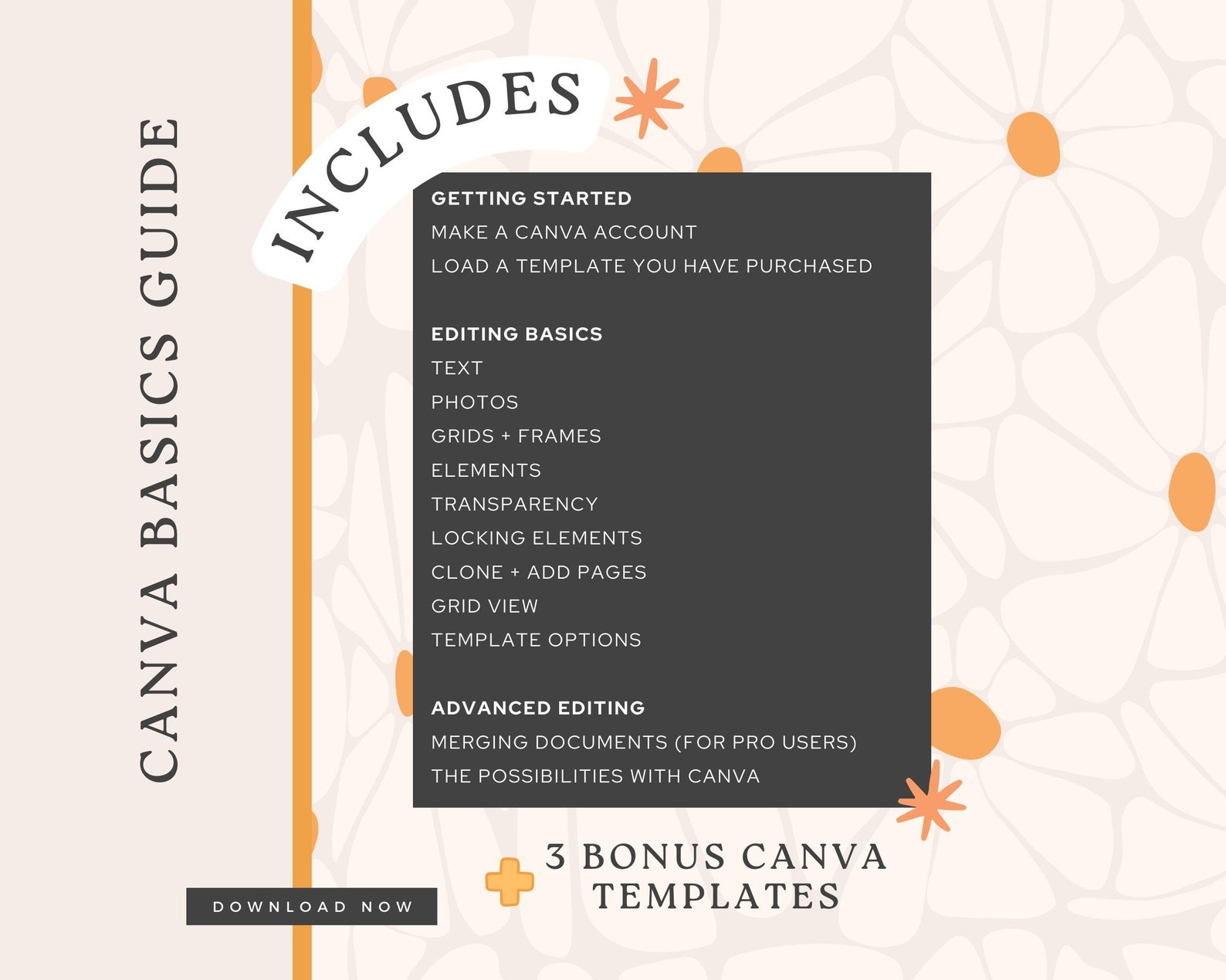 Canva Basics Guide, Canva Tutorial for Beginners, How to Use Canva ...