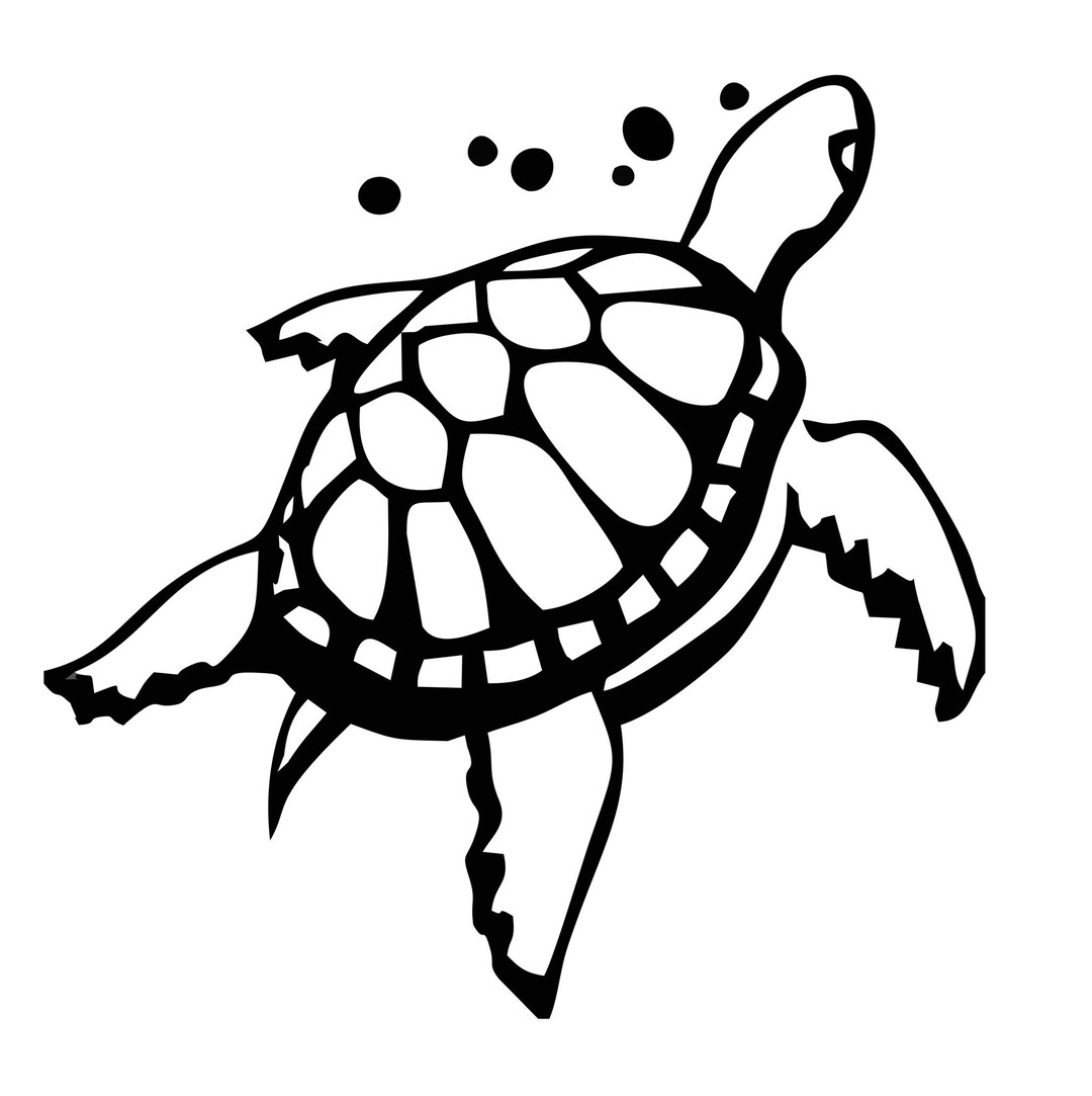 Turtle Vinyl Car Decal | Auto Window Sticker - Etsy