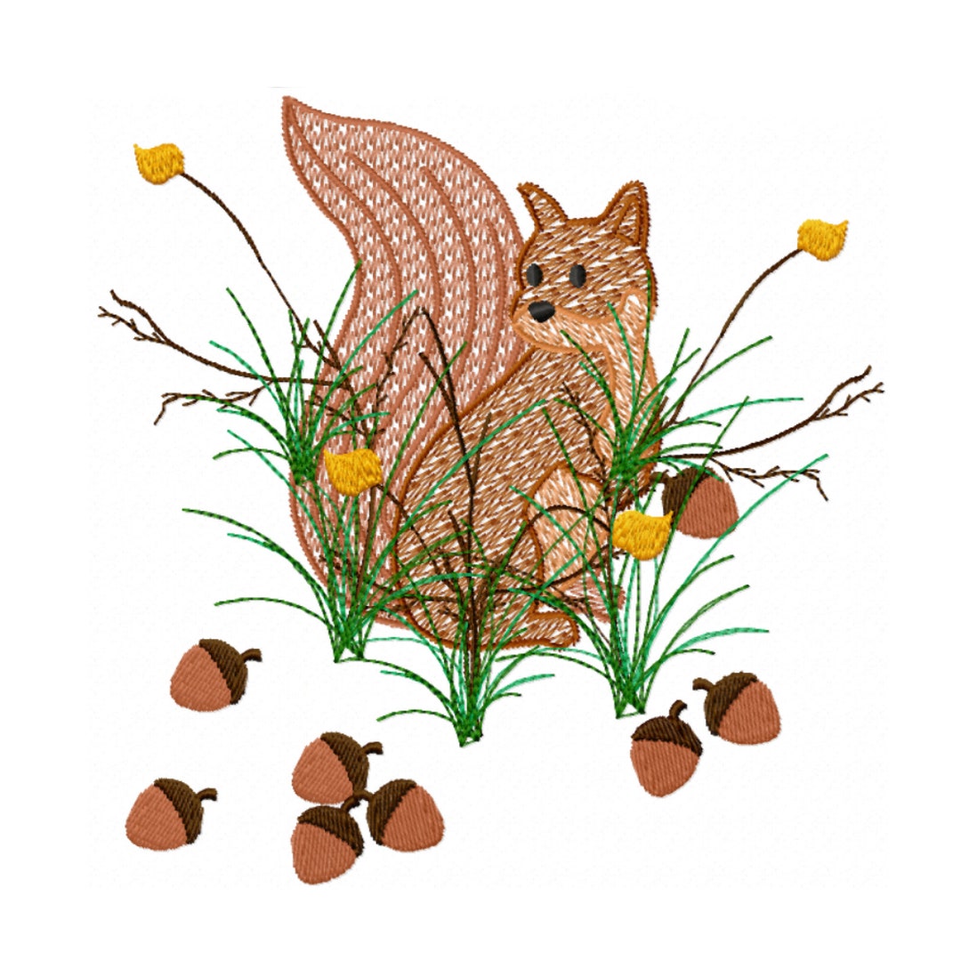 Squirrel Embroidery Design - Sketch Embroidery Design - Woodland ...