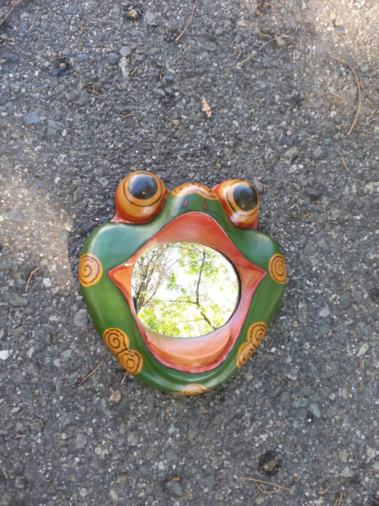 Frog Mirror/mirror/ Wood Mirror/ Frog/ Reptile/ Handmade/ - Etsy