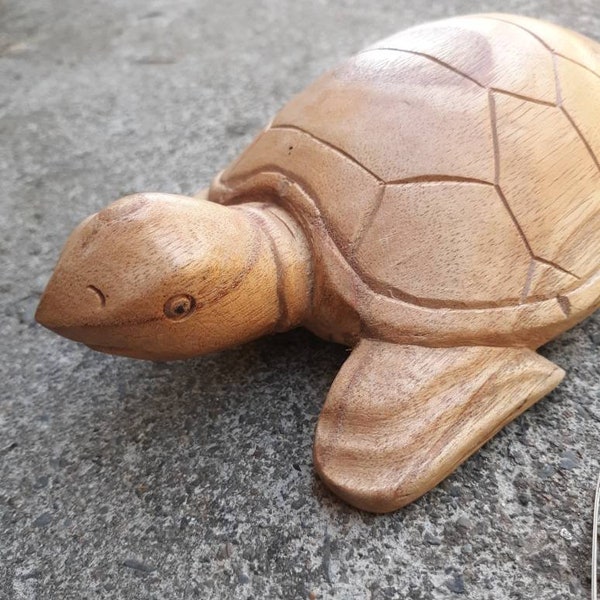 Terrapin Turtle - Etsy