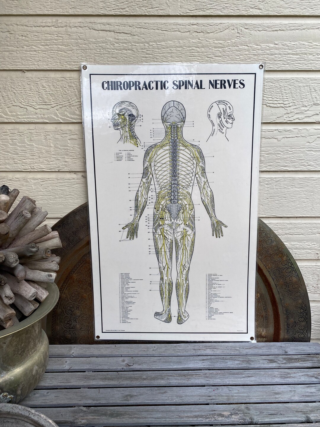 Chiropractic Spinal Nerve Chart/vintage Medical Chart Copyright 1952 ...