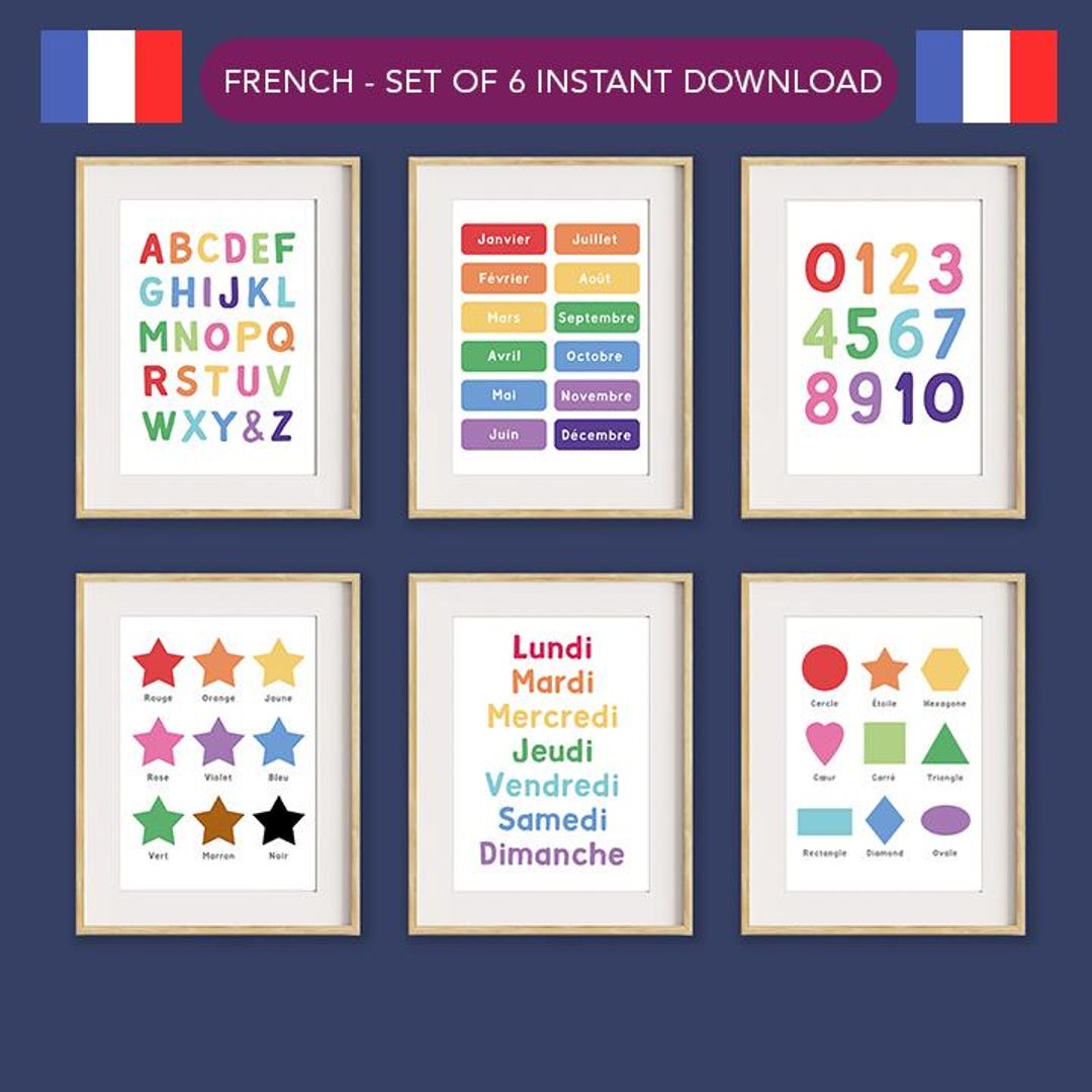 Set of 6 French Educational Printable Wall Art, 6 French Homeschooling ...