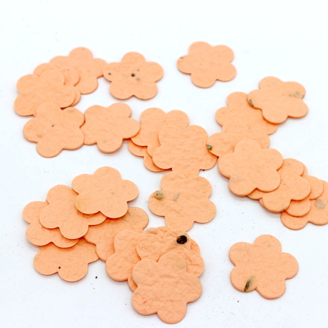 Seed Confetti Seed Paper Confetti FLOWER Peach Peach Sustainable Gift ...