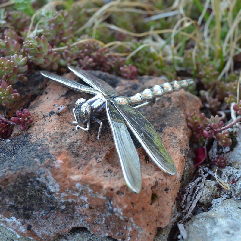 Dragonfly Brooch - Etsy