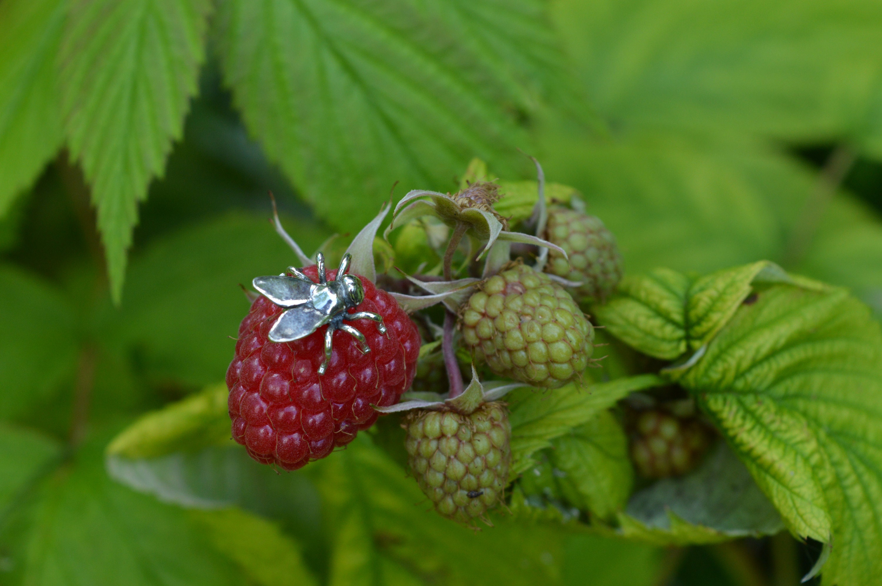 Fly Ornament House Fly Figurine Life-size Insect Ornament - Etsy UK