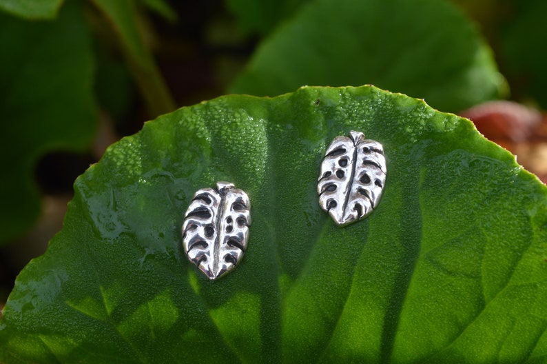 Monstera Earrings Cheese Plant Earrings Monstera Deliciosa - Etsy UK