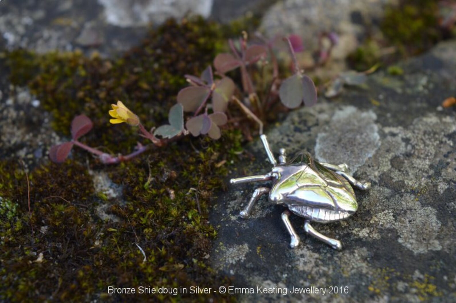 Sterling Silver Lapel Pin Bronze Shieldbug Beetle Brooch | Etsy