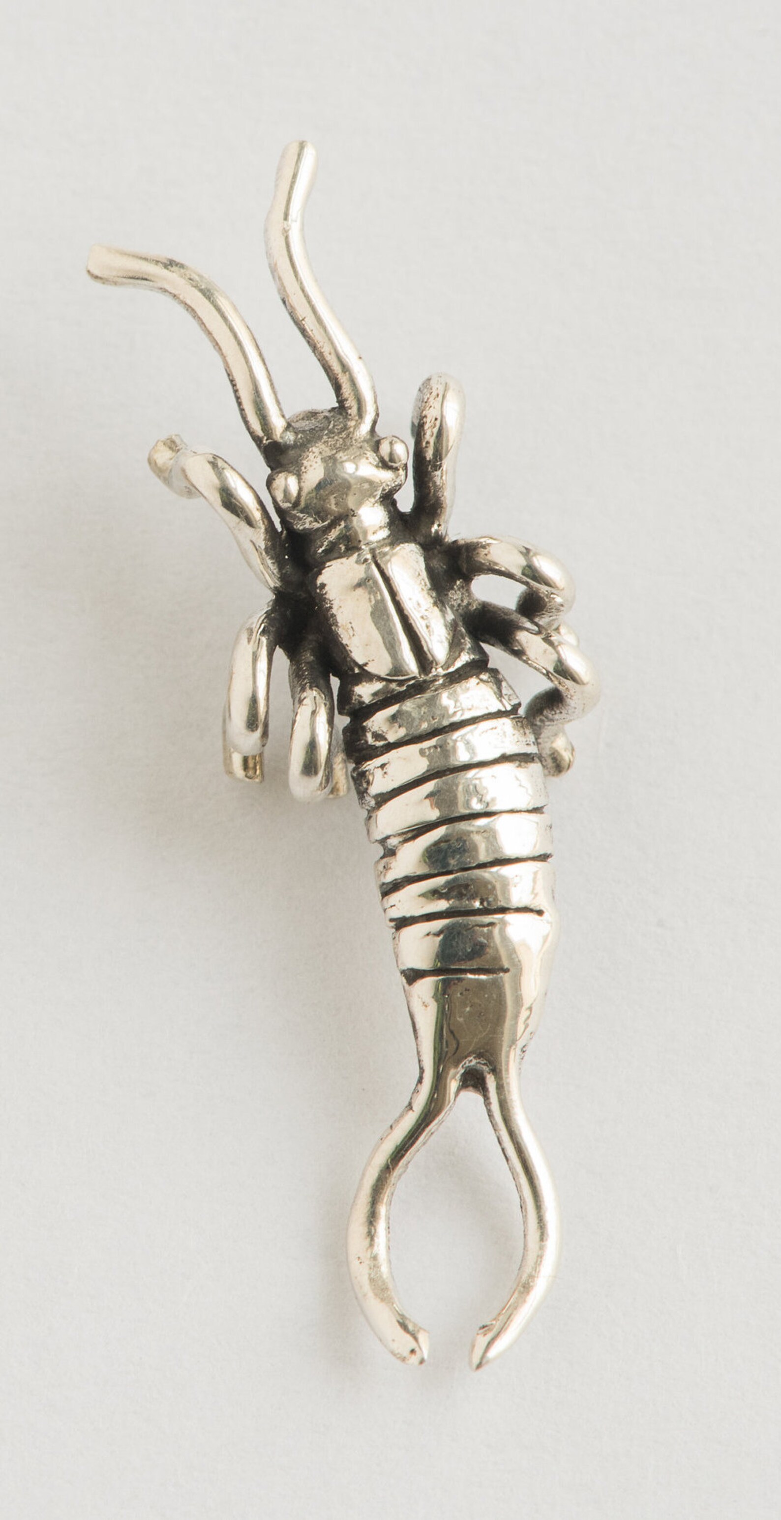 Beetle Necklace Sterling Silver Earwig Pendant Life-size - Etsy
