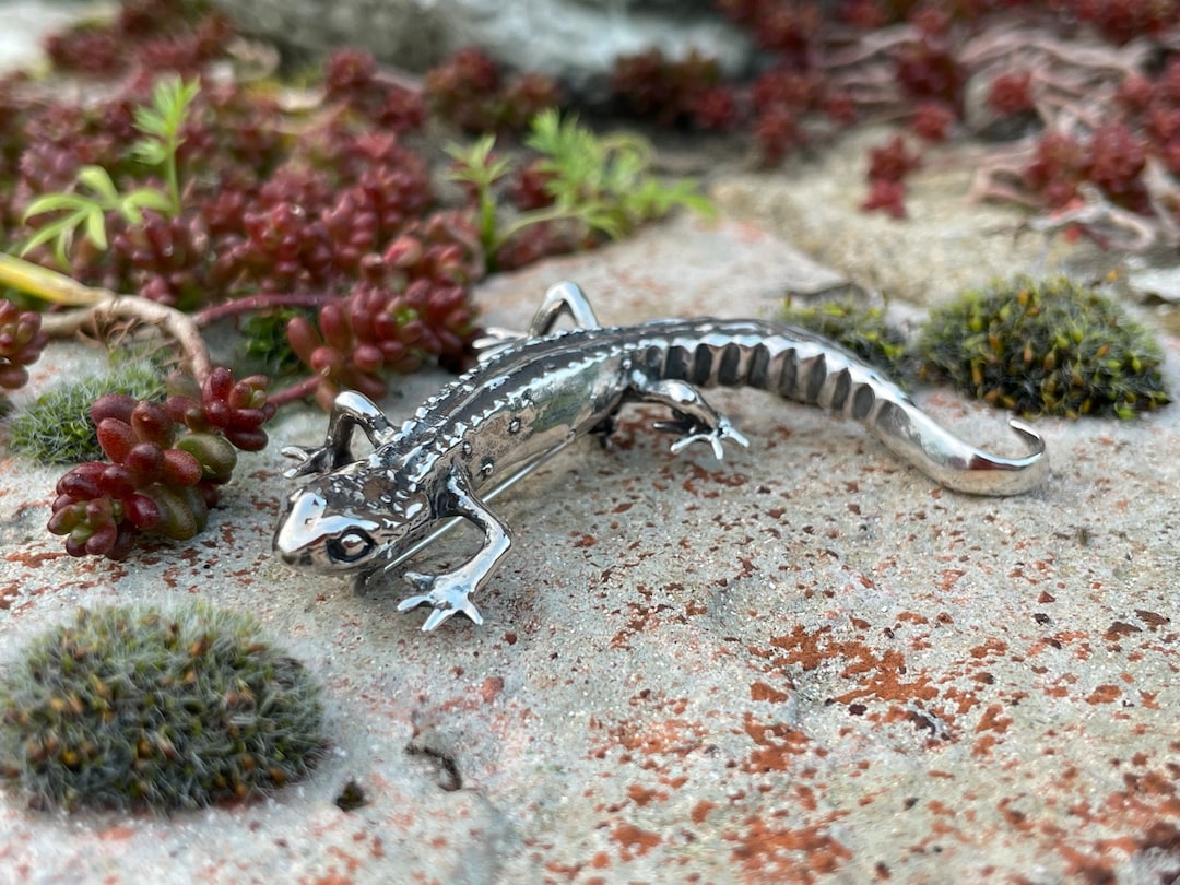 Newt Brooch - Sterling Silver Newt - Lizard Brooch - Handmade Nature ...