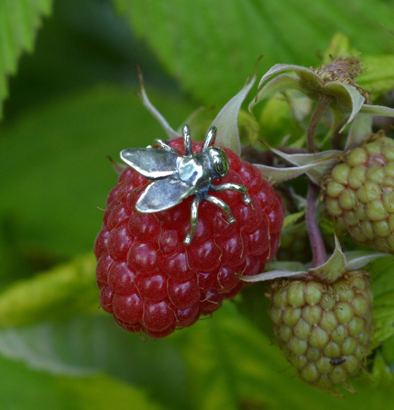 Fly Ornament House Fly Figurine Life-size Insect Ornament - Etsy UK