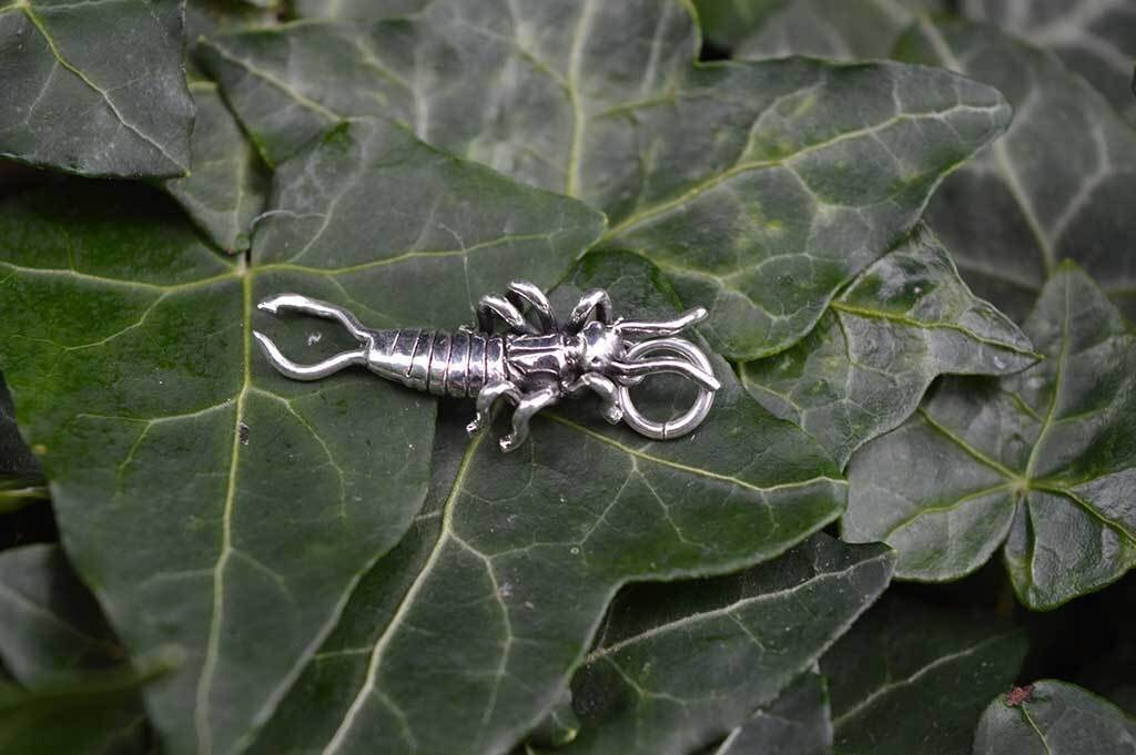 Beetle Necklace Sterling Silver Earwig Pendant Life-size - Etsy