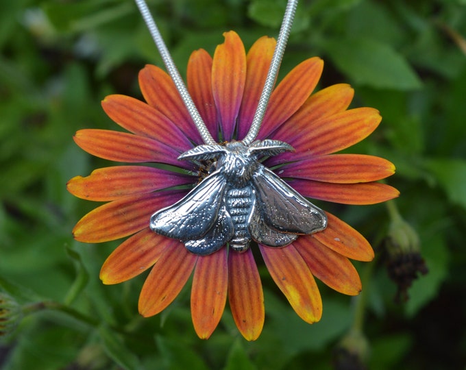 Moth Necklace - Etsy Canada