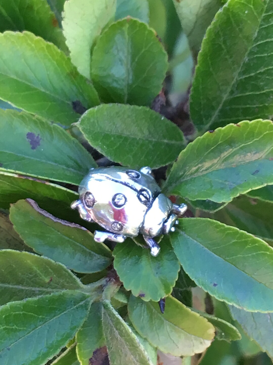 Ladybird Beetle Brooch - Ladybird Beetle Lapel Pin - Sterling Silver ...