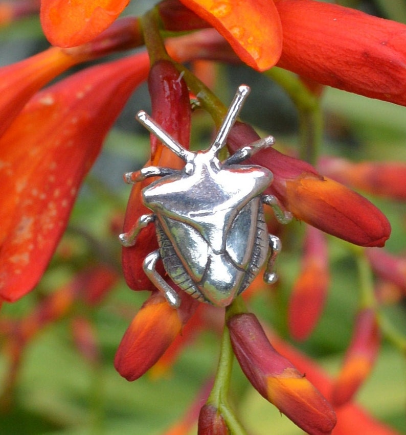 Sterling Silver Lapel Pin Bronze Shieldbug Beetle Brooch | Etsy