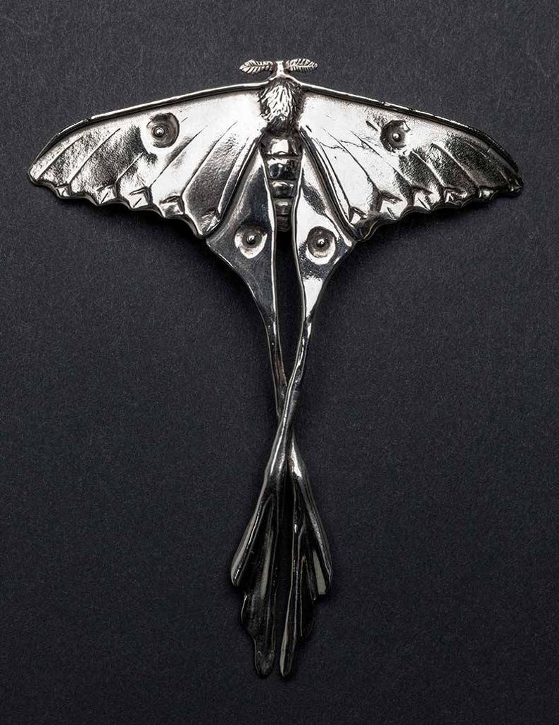 Moth Brooch Madagascan Moon Moth Sterling Silver Insect | Etsy