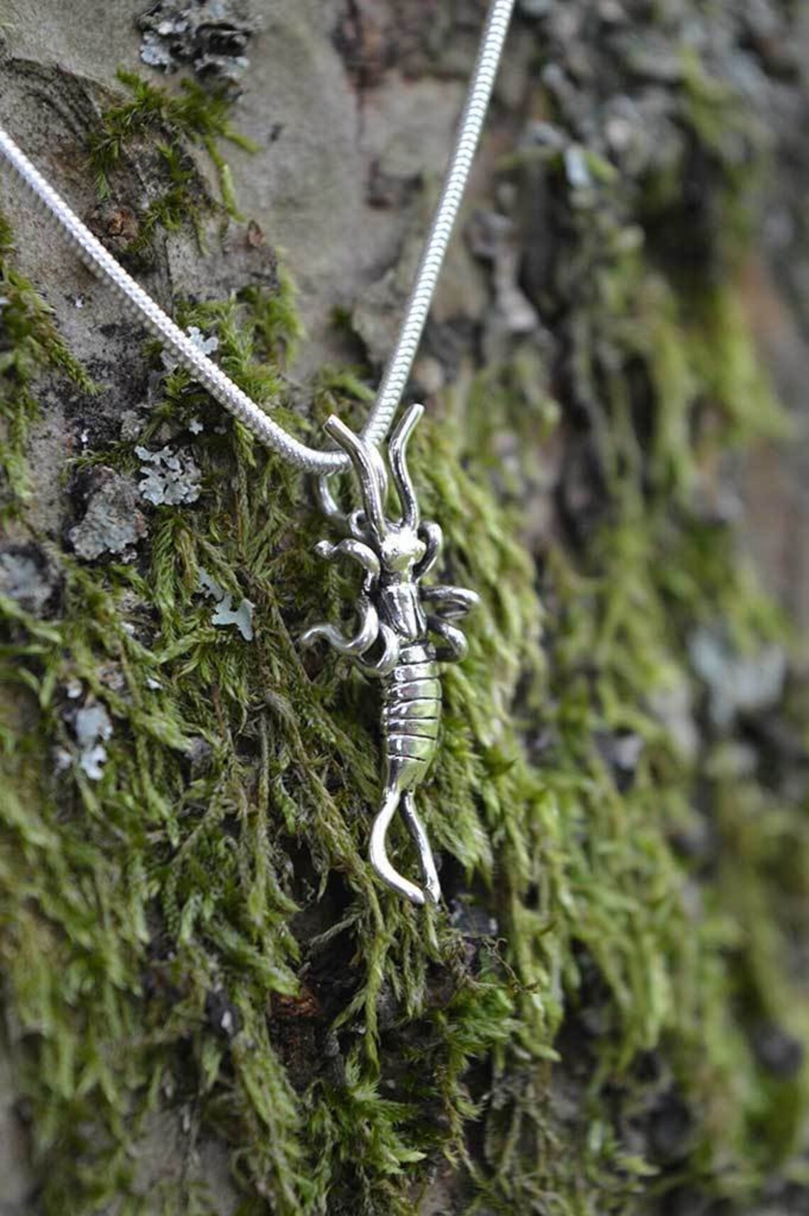 Beetle Necklace Sterling Silver Earwig Pendant Life-size - Etsy