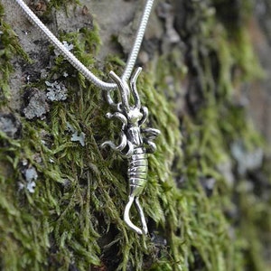 Beetle Necklace - Sterling Silver Earwig Pendant - Life-size Insect ...