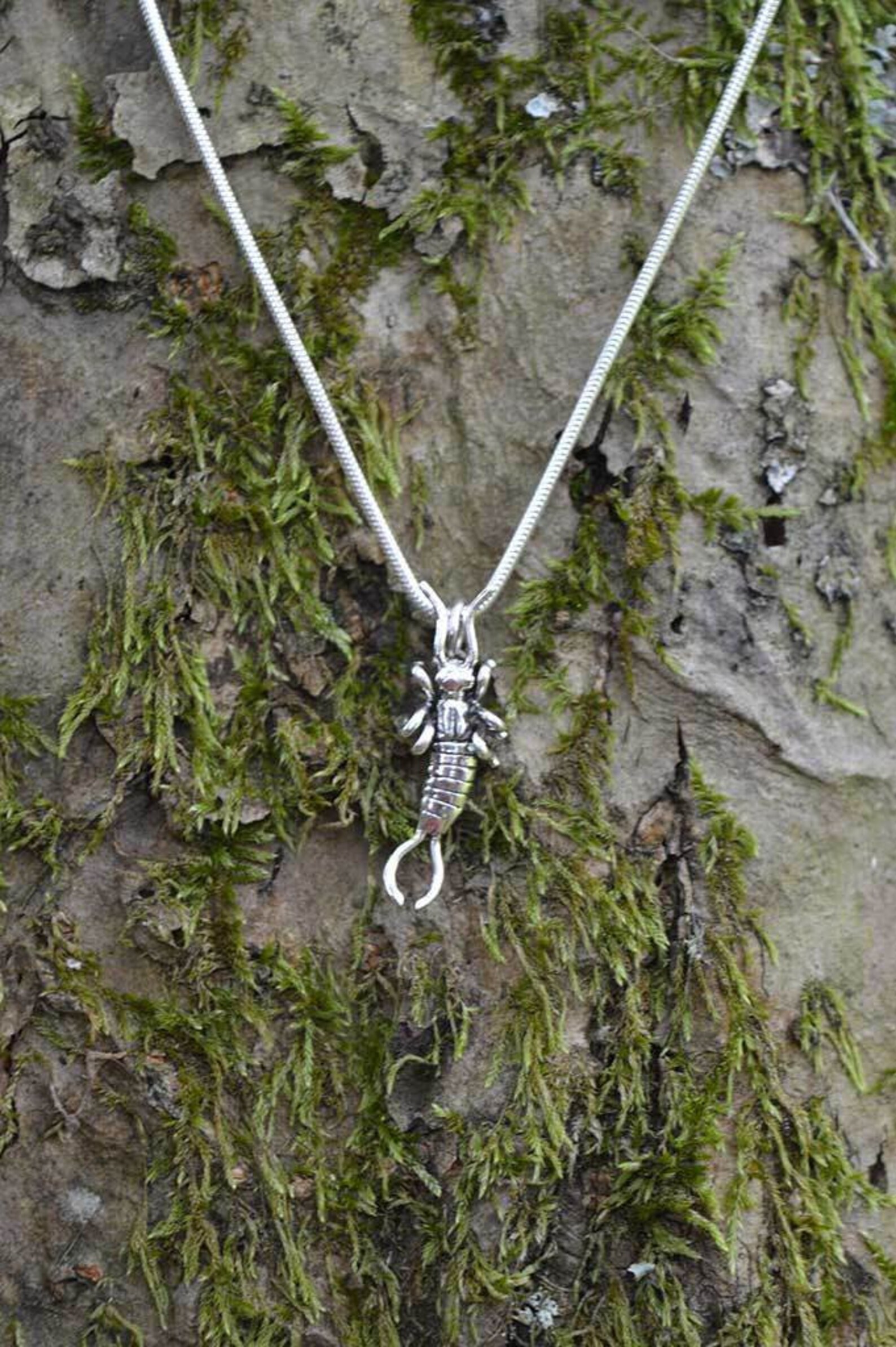 Beetle Necklace Sterling Silver Earwig Pendant Life-size - Etsy