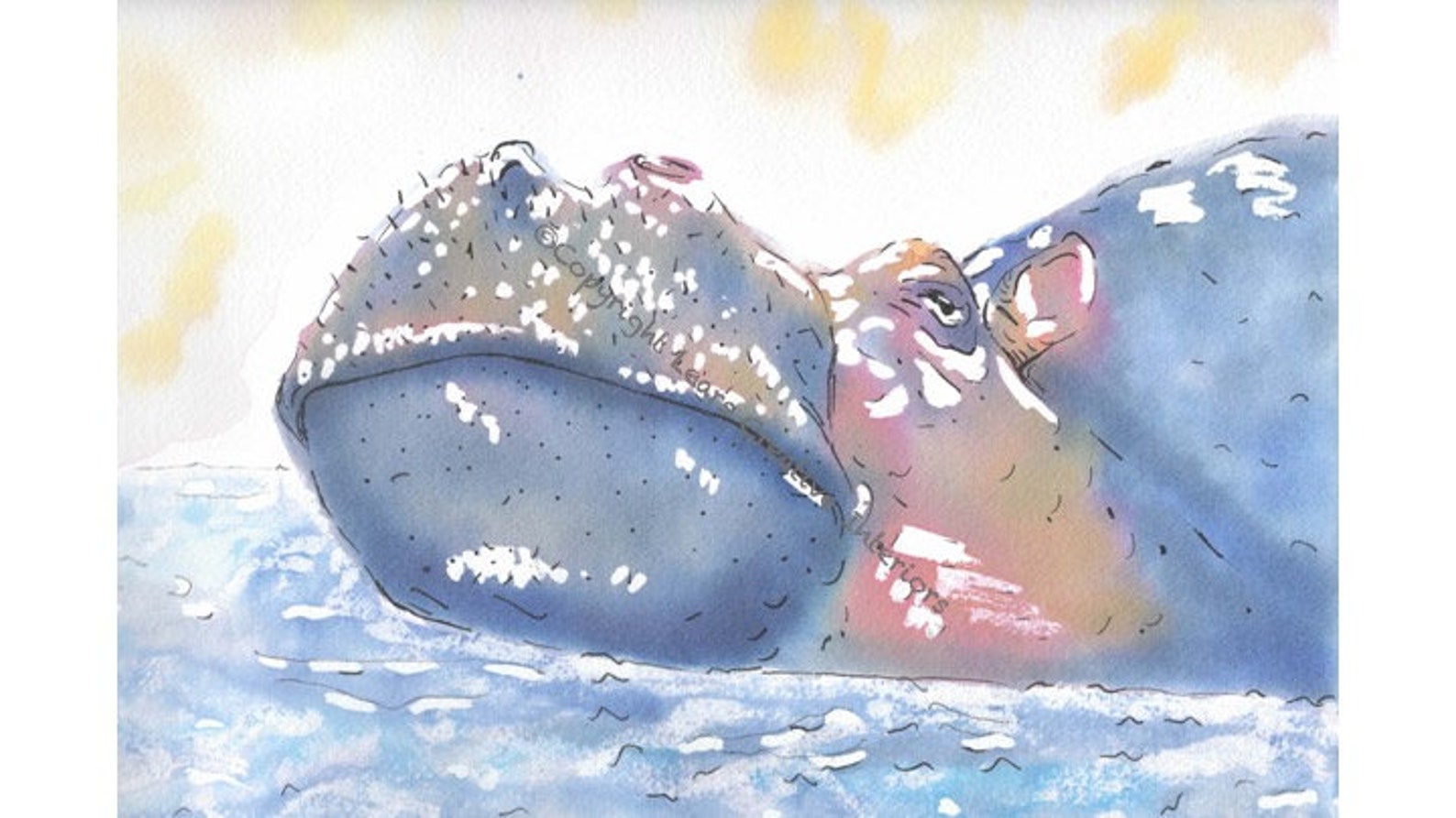 Happy Hippo Watercolour,hippopotomus Art,african Animal Painting,safari ...