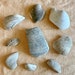 Large Northern Quahog Shell Fragments Natural Chowder Clam - Etsy