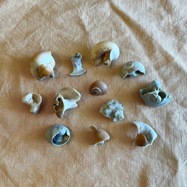 Broken Dish Mosaic - Etsy