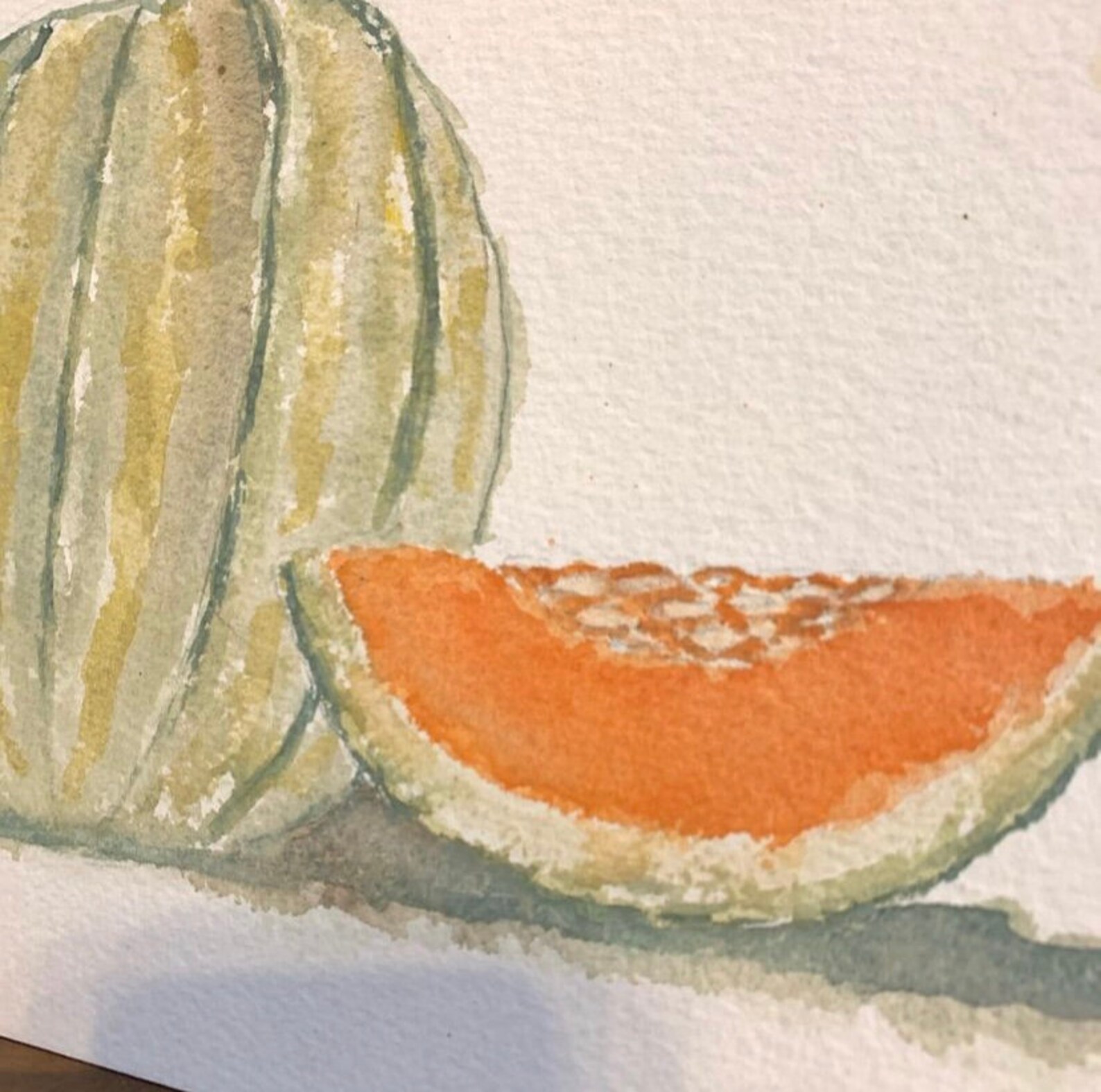 Vintage Watercolor Paintings Two-sided Artwork Melon - Etsy