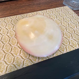 Polished Tiger Clam Shell: Natural Coastal Decor, 3 Inch - Etsy