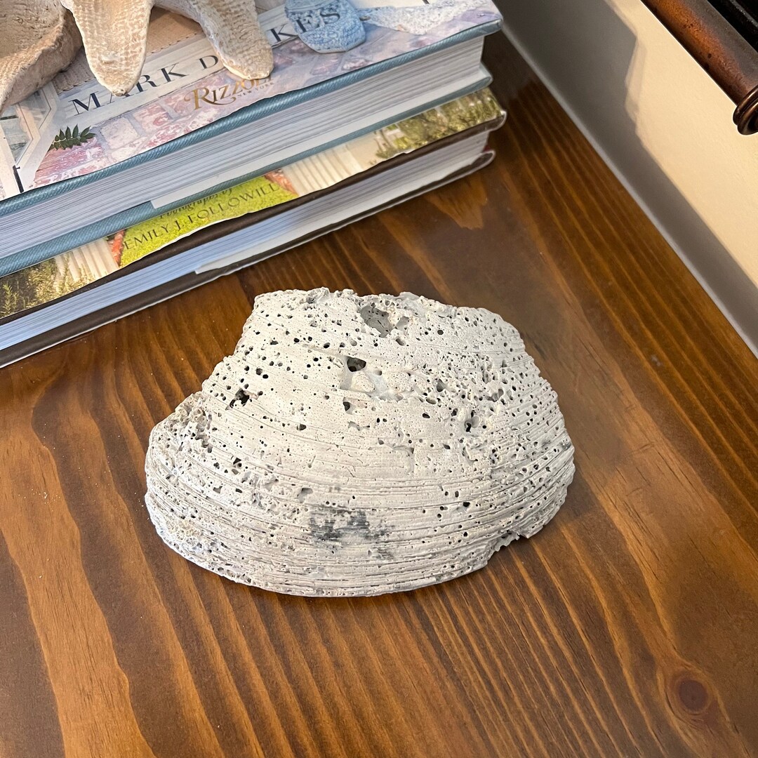 Huge White Quahog Clam Shell Fragment, Natural Shell, Coastal Decor ...