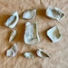 Large Northern Quahog Shell Fragments Natural Chowder Clam - Etsy
