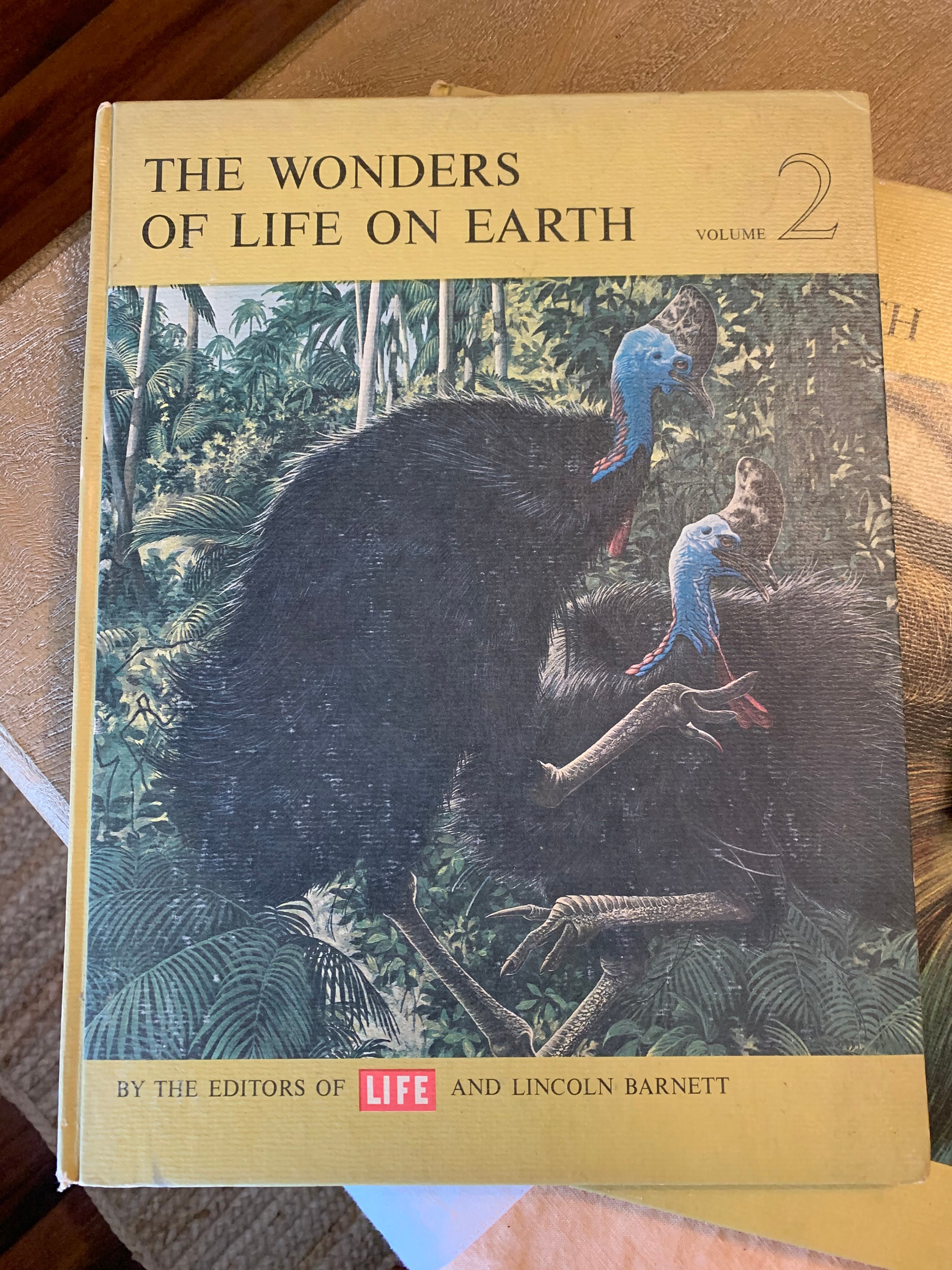 Vintage LIFE Books The Wonders of Life on Earth Books Vol 1 | Etsy