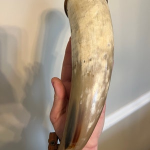 Mid Century Muzzleloader Powder Horn With Brass Valve and Leather Strap ...