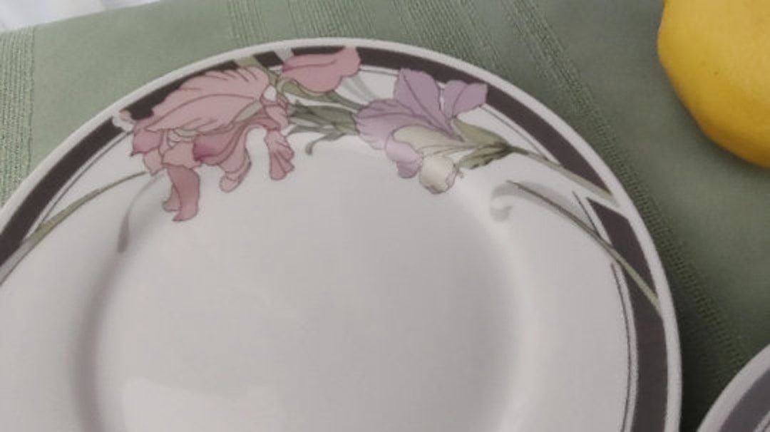 Vintage China, Antique Dinnerware, Salad Plates Set of 2 Silverie Iris ...