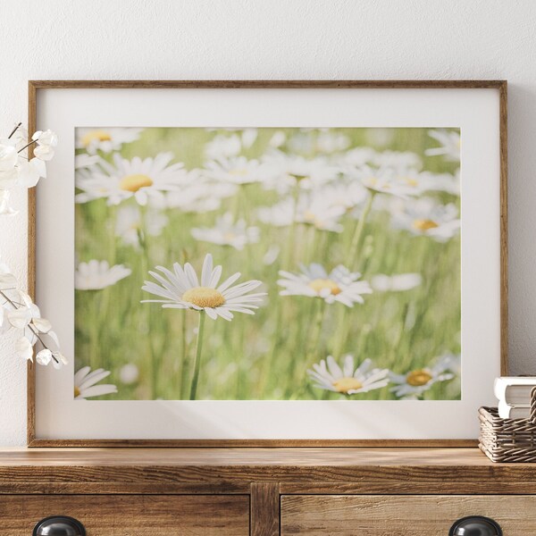 Daisy Wall Art - Etsy