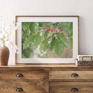 Winter Photograph Holly Print Christmas Holiday Wall Art - Etsy