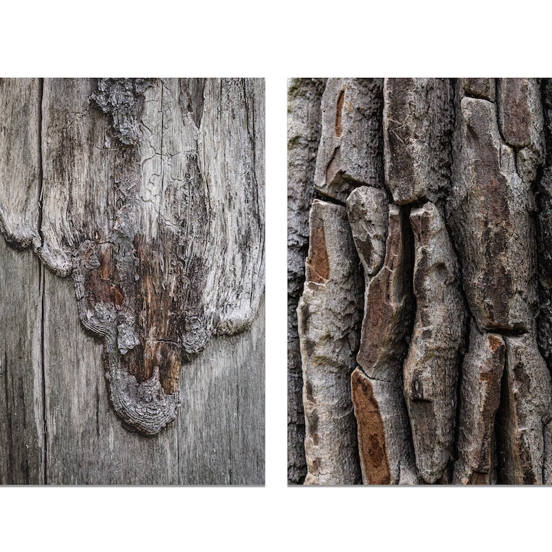 Tree Bark - Etsy