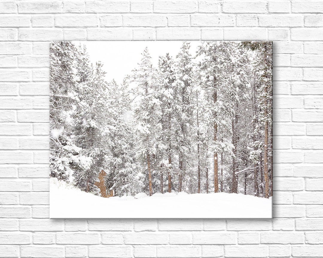 Winter Art Winter Tree Photograph Rustic Country Home Decor - Etsy