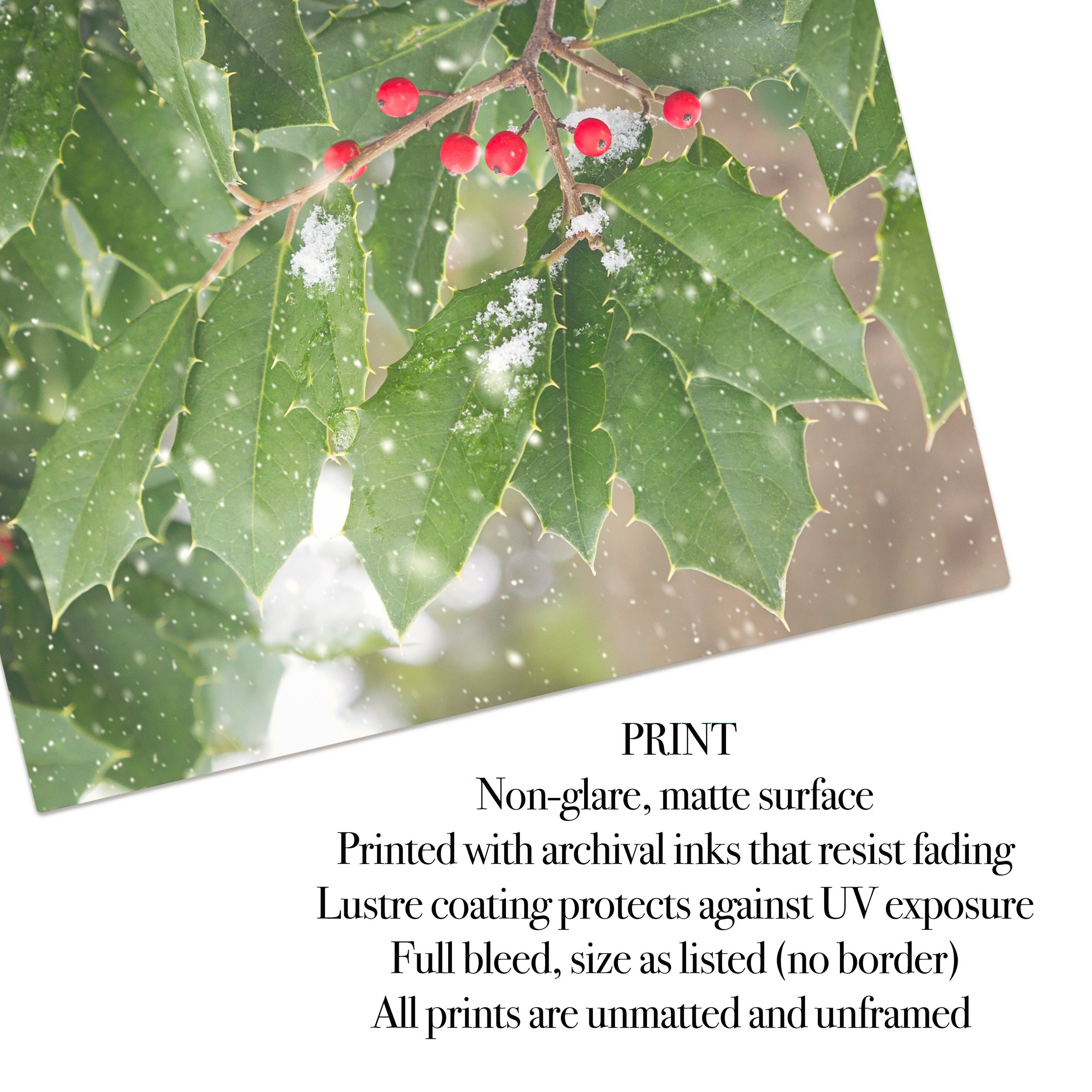 Winter Photograph, Holly Print, Christmas Holiday Wall Art, Snow ...