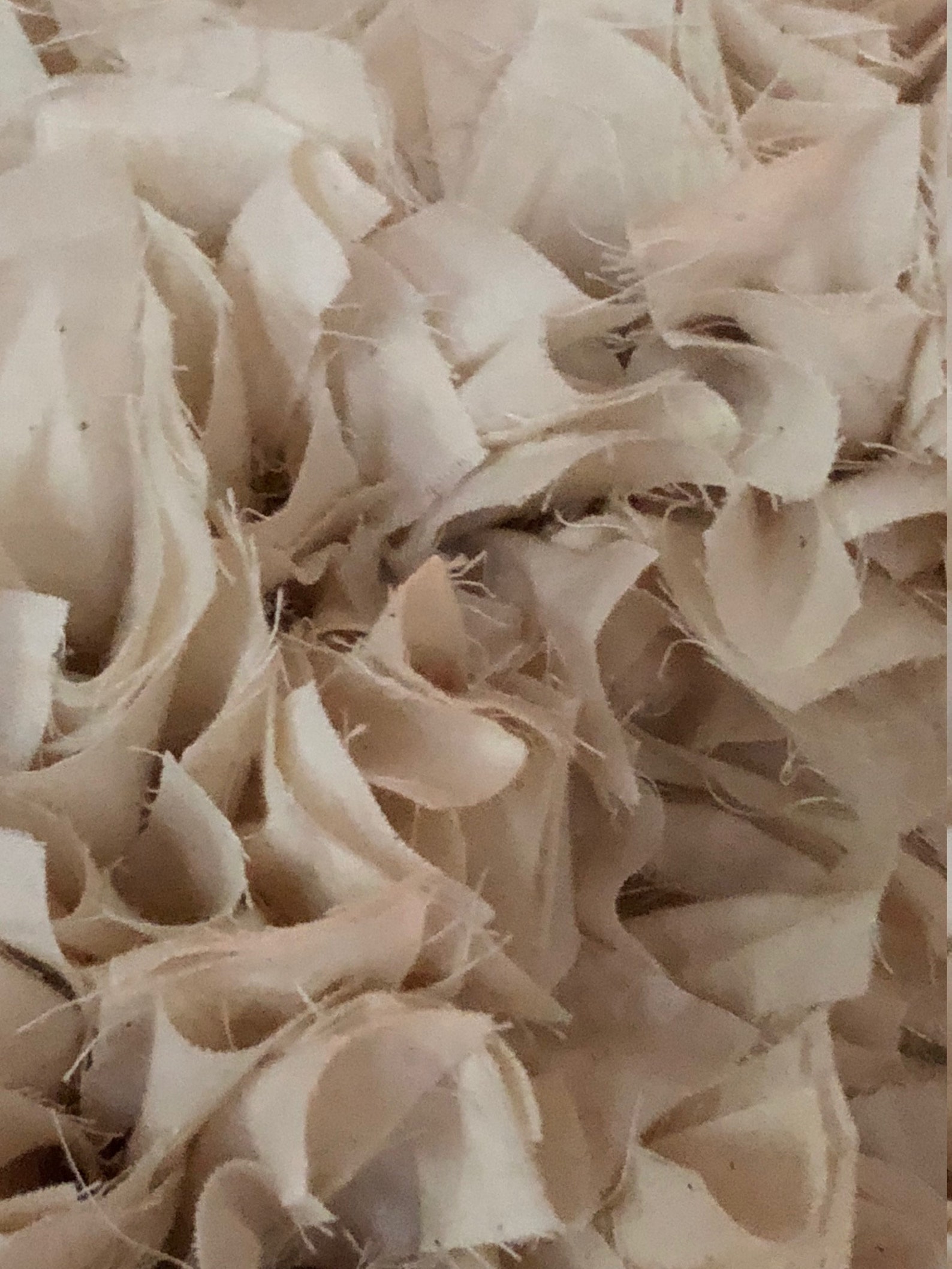 WREATH IVORY RAG Wreathdoor Decordoor Hangerfront Door | Etsy