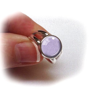 PET CREMATION Ring 925 Sterling Silver Cremation Ashes Dog Cat Horse ...