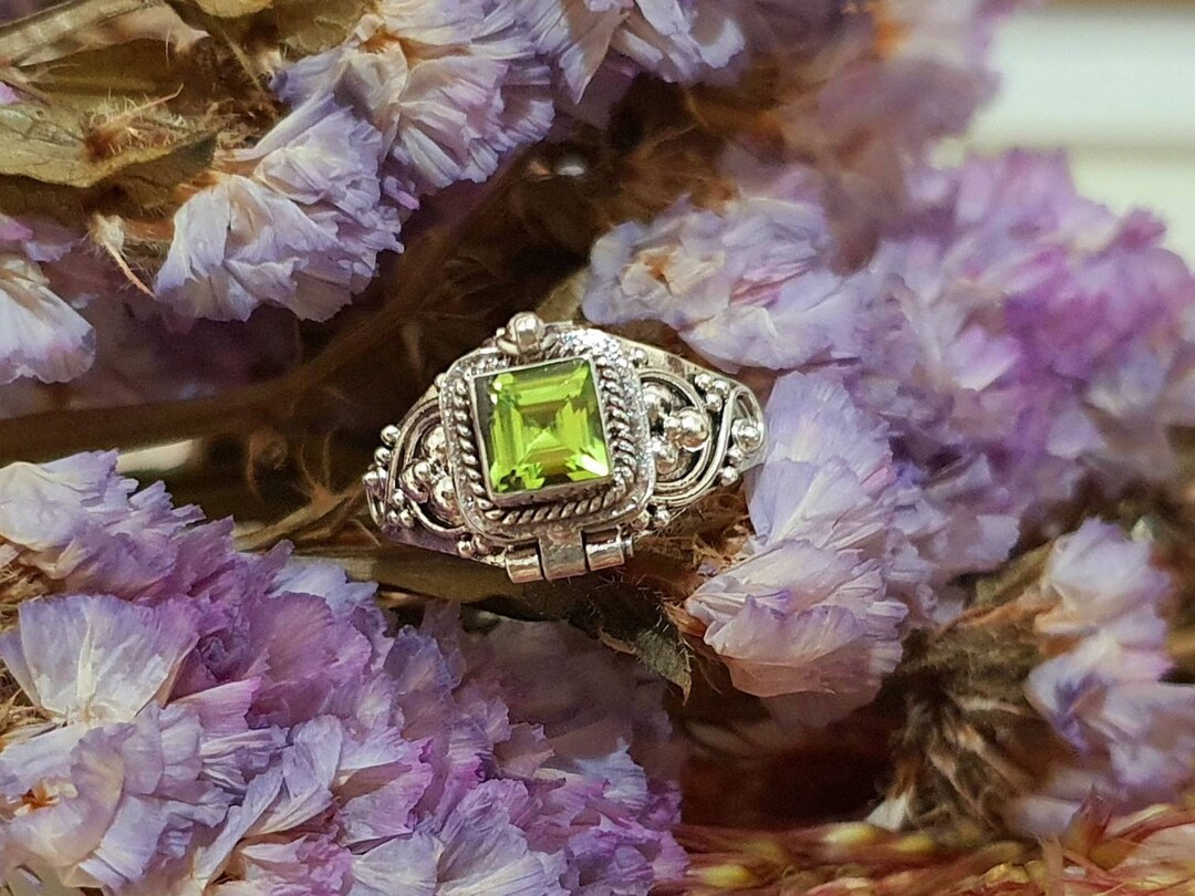Silver Poison Ring With Natural Gemstone Dainty Locket - Etsy