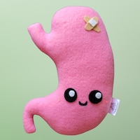 COLON Anatomy Organ Plushy/ Cute Science Toys GUTS - Etsy