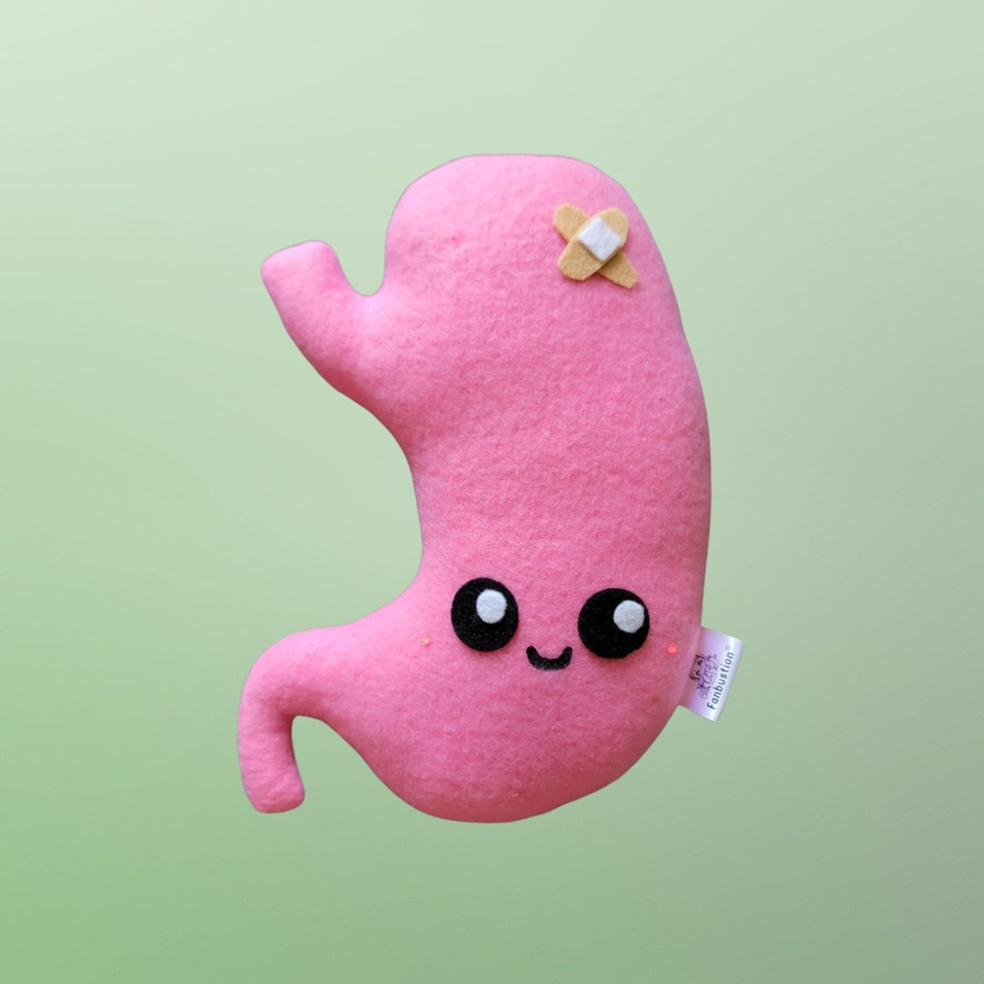 Kawaii Stomach Plush, Cute Organ Pillow, Body Anatomy, Gastric Bypass ...