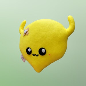 Kawaii Bladder Plush, Cute Organ Pillow, Body Anatomy Toy, Handmade ...