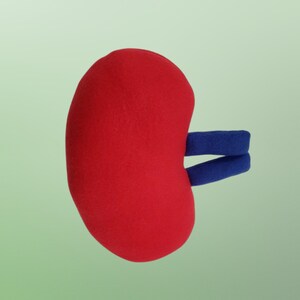 Cute Kawaii Kidney Plush, Organ Plush, Made to Order, Kidney Surgery - Etsy